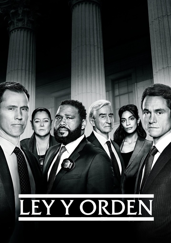 La Ley Y El Orden Ver La Serie De Tv Online